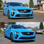 Swift Sport Lowering Springs for Performance | Tapout Tuning