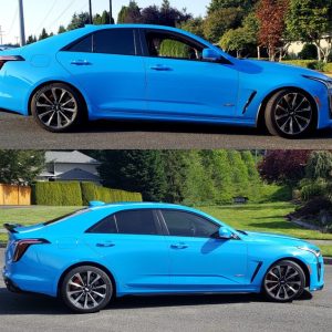 Swift Sport Lowering Springs for Performance | Tapout Tuning