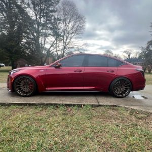 Swift Sport Lowering Springs for Performance | Tapout Tuning
