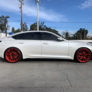 Swift Sport Lowering Springs for Performance | Tapout Tuning